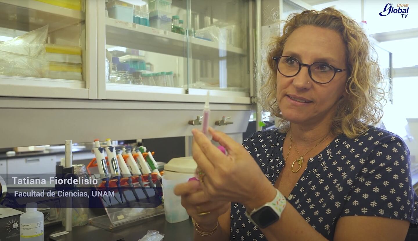 UNAM busca revolucionar la detección temprana del VPH con biosensor ...