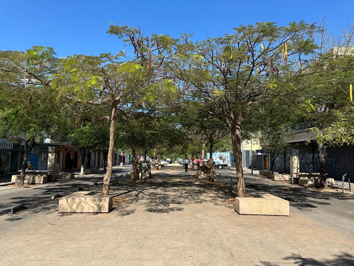 Paseo Alcalde, el rostro peatonal y cultural de Guadalajara rumbo al ...