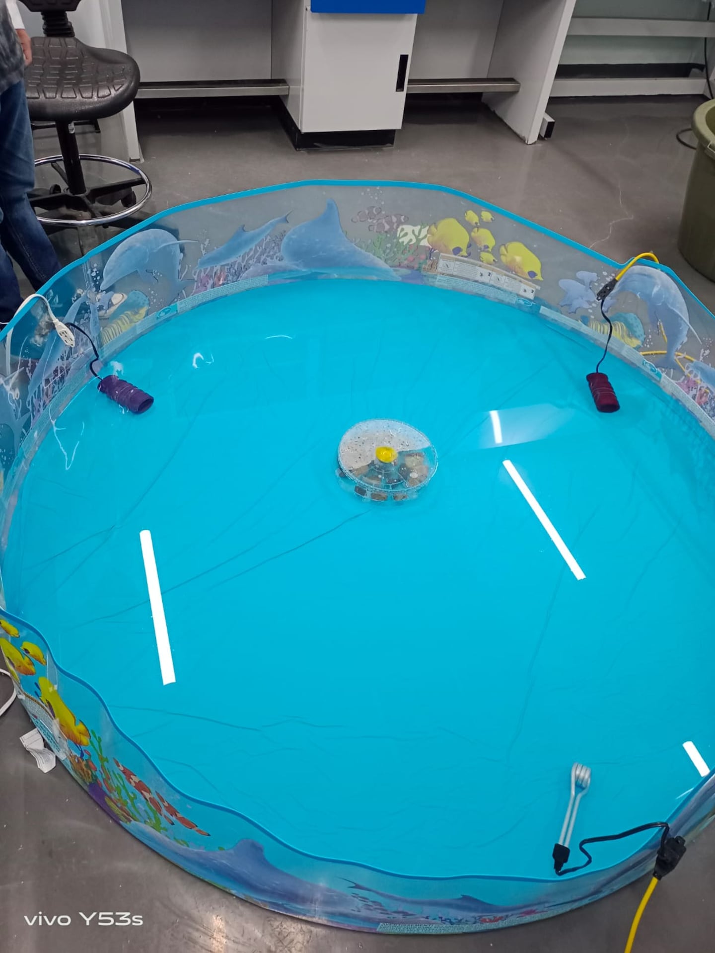 UAEH investiga efectos neuronales de fármaco usado para la epilepsia ...