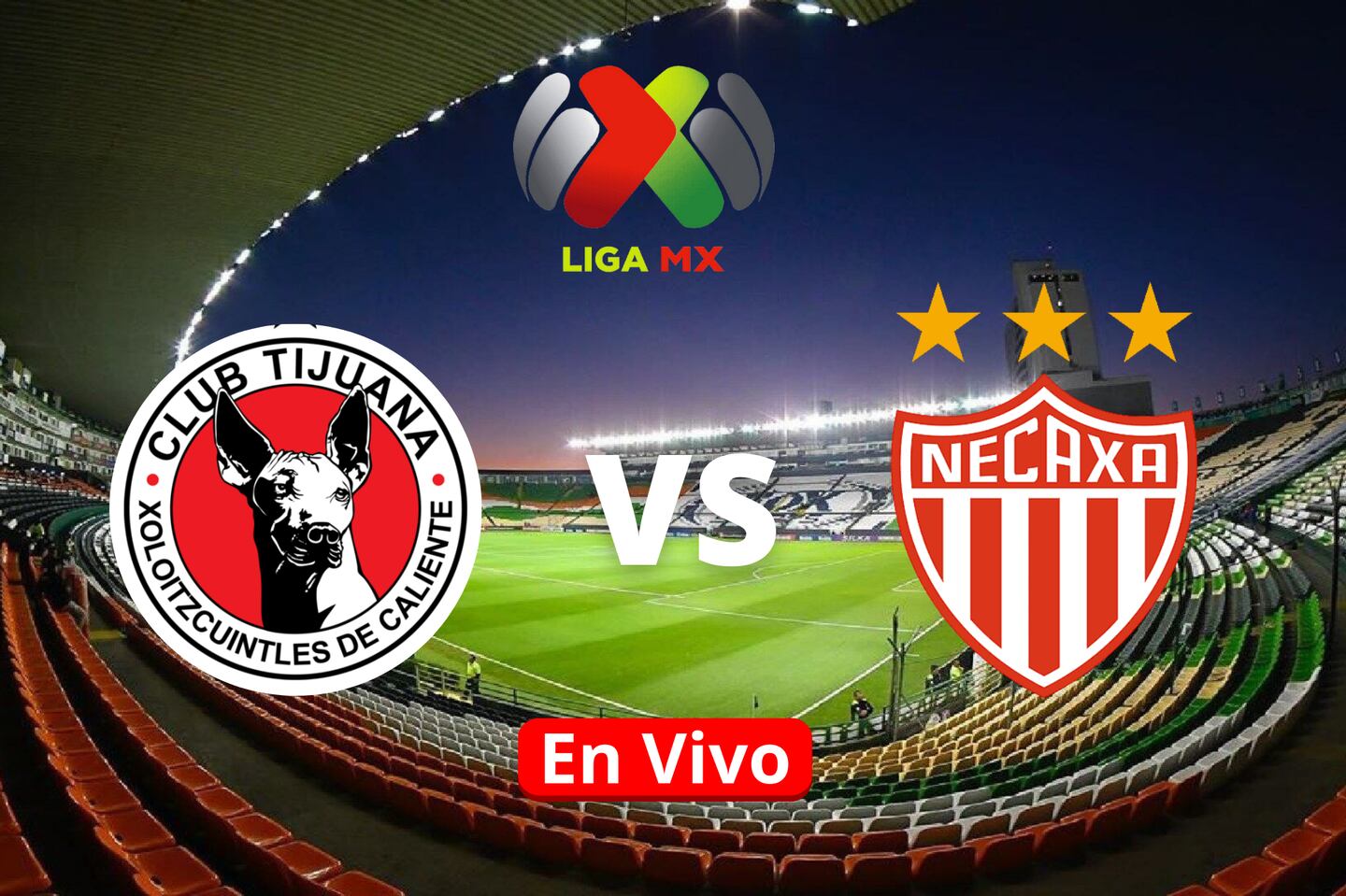 Tijuana vs Necaxa: Horario, canal, cómo y dónde ver en vivo la Liga MX ...