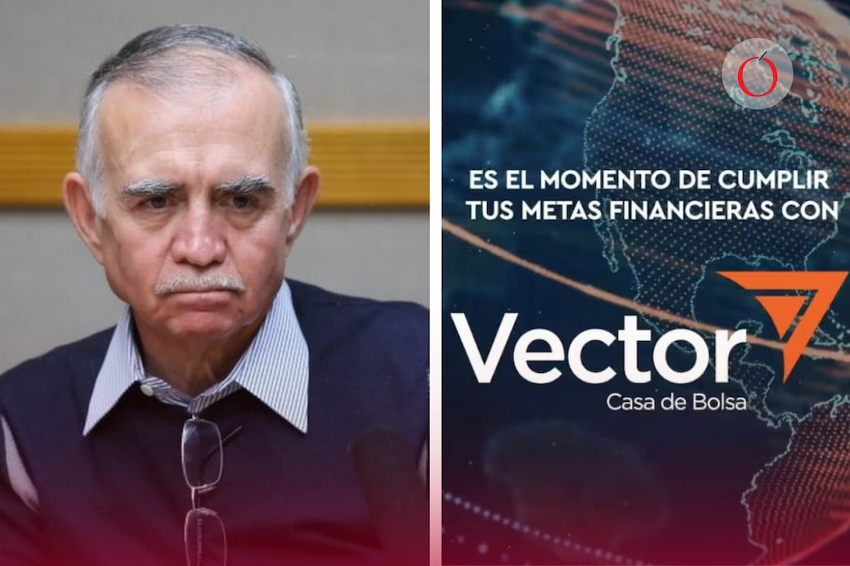 Revés a Alfonso Romo: ¿por qué le revocaron el permiso a Vector para ...