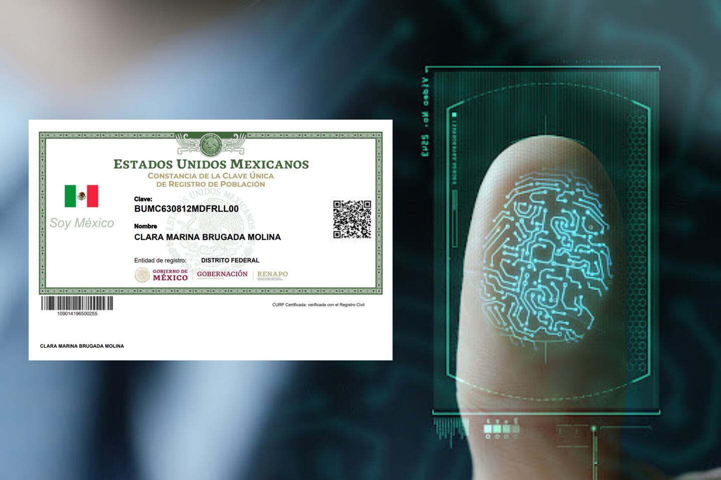 CURP 2025: ¿Desde cuándo será válida como identificación oficial en México? – La Crónica de Hoy